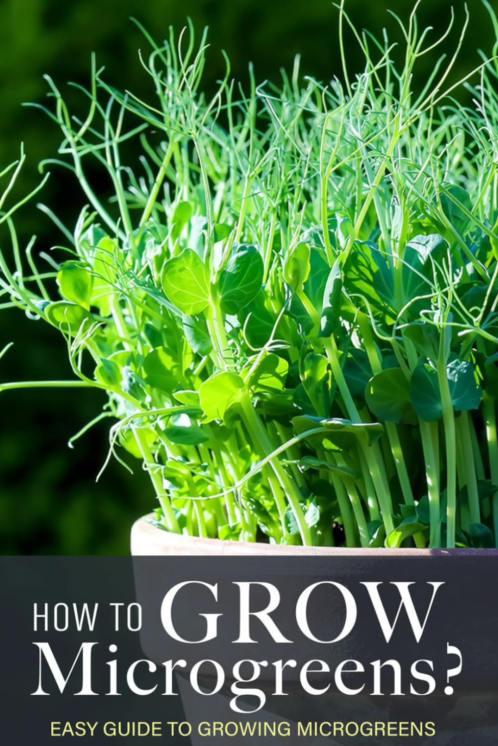 How to Grow Microgreens: Easy Guide to Growing Microgreens: The ...