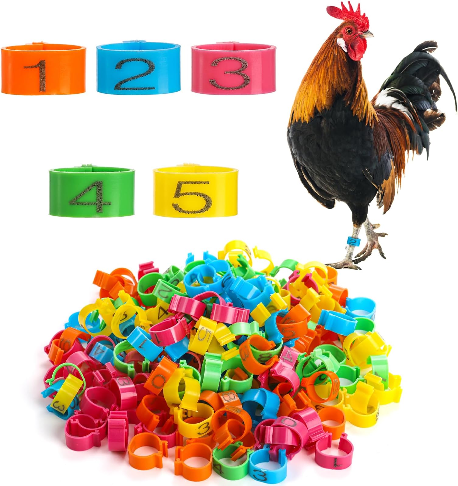Amazon.com: Coloch 200 Pieces 16mm Chicken Leg Rings with 5 Color ...
