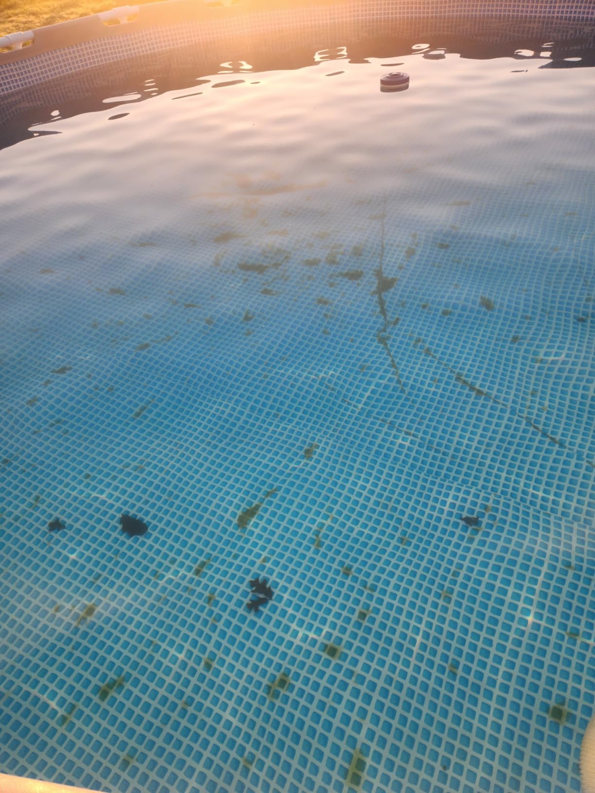 $6/mo - Finance HTH 52038 Swimming Pool Care Green to Blue, Advanced ...