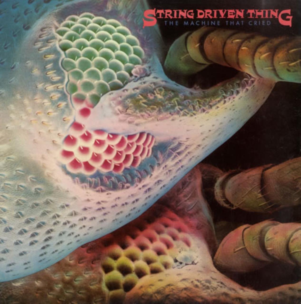 Incredible String Driven Thing - The Machine That Cried - Amazon.com Music