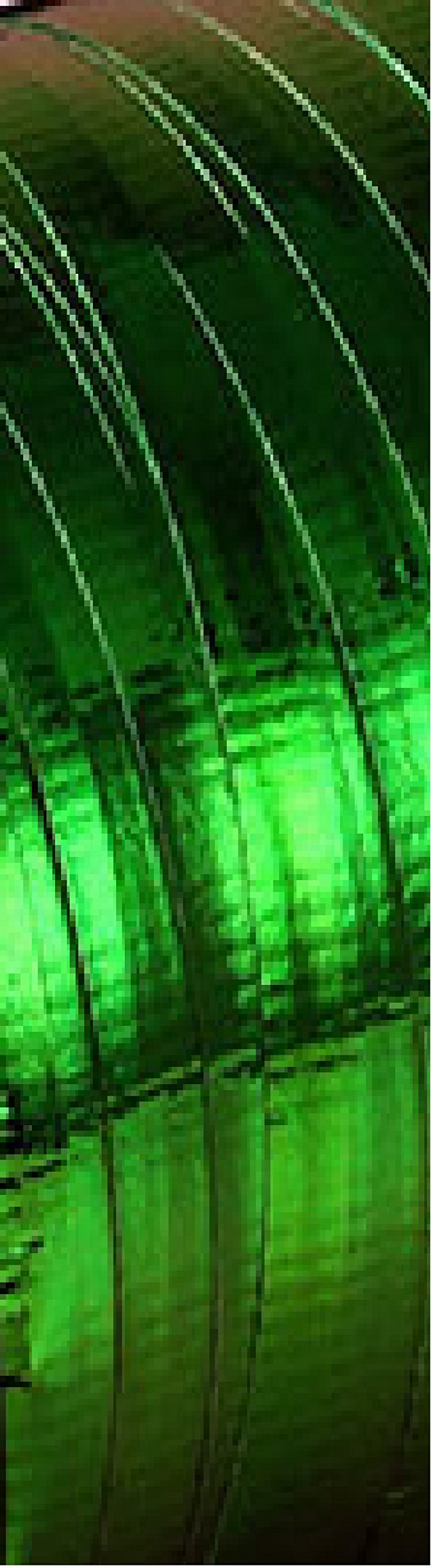 Amazon.com: Gift Trim GREEN Metallic Curling Ribbon features a width of ...