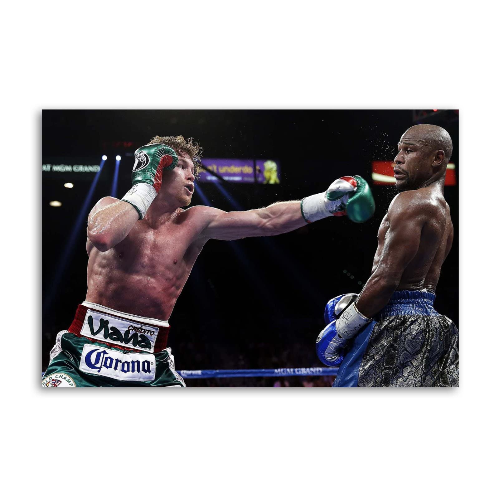Floyd Mayweather Vs Canelo Alvarez Poster