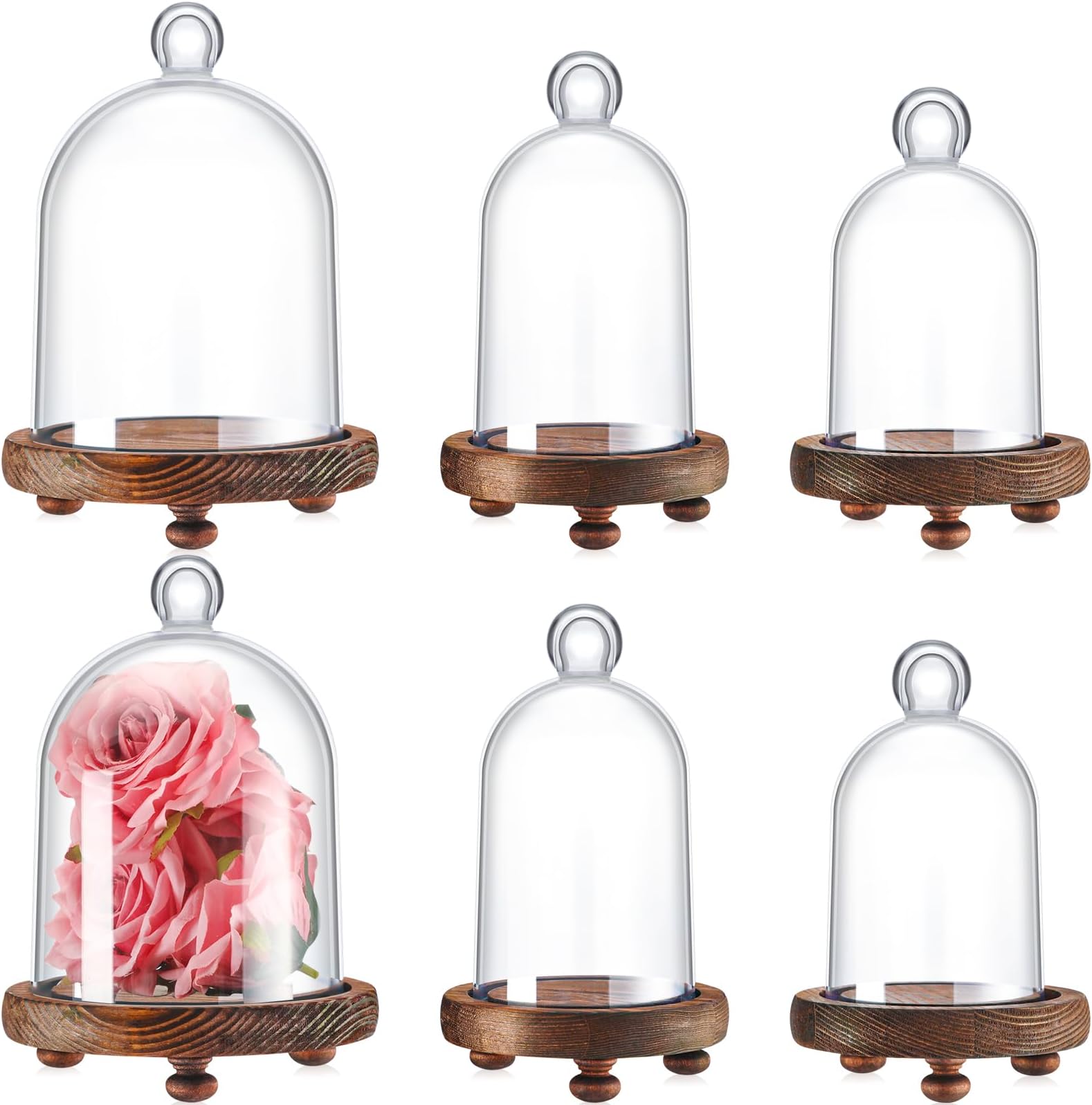 Amazon.com: WHOLE HOUSEWARES | Mini Cloche Glass Dome With Wooden Base ...