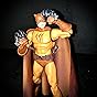 Amazon.com: McFarlane DC Multiverse Catman Gold Label 7" Action Figure ...