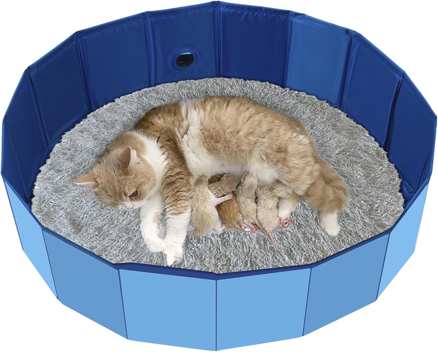 Amazon.com : Cat Birthing Box,Whelping Box for Cats,Cat Birthing ...