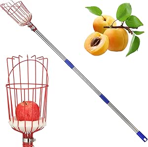 Extendable Fruit Picker Tool - 13 Ft Pole with Basket for High Reach ...
