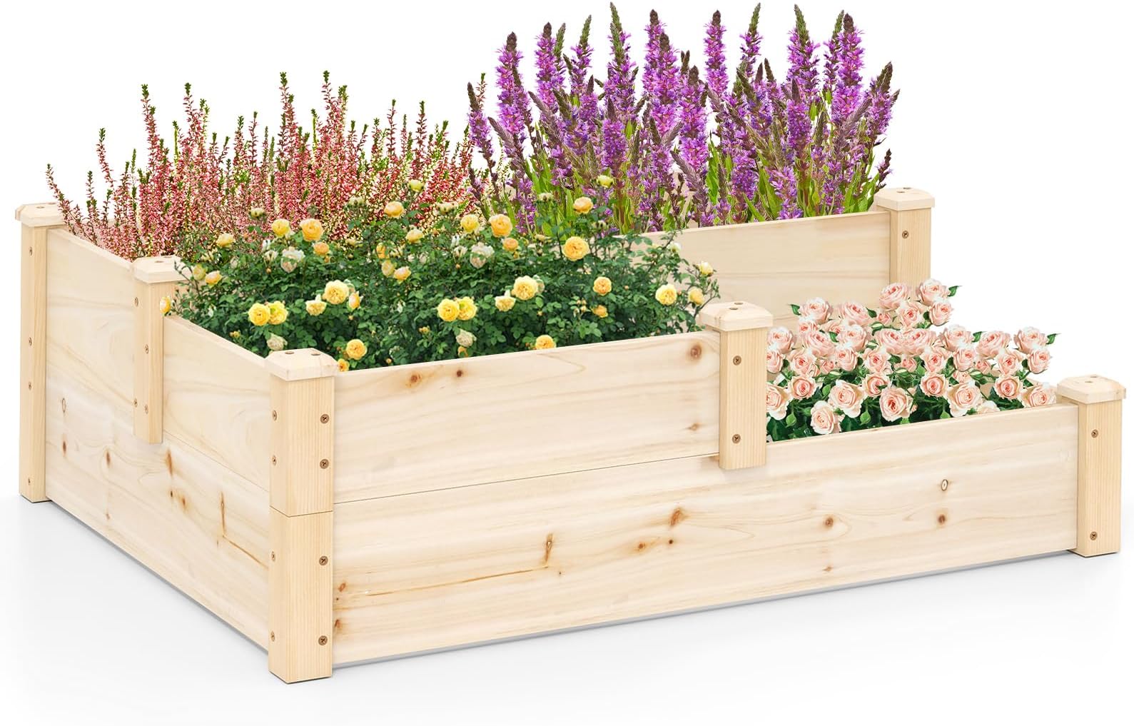 Amazon.com : GARDENS ALIVE! - Pyramid Garden Kit - All You Need to ...