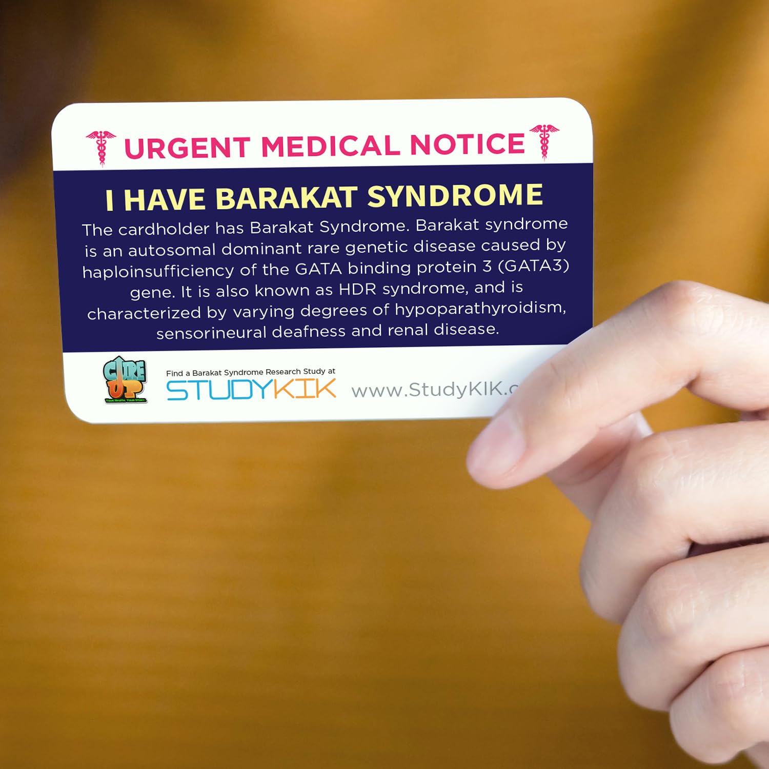 Barakat Syndrome Gervais Hardy Is Fundraising For Wallace & Gromit's