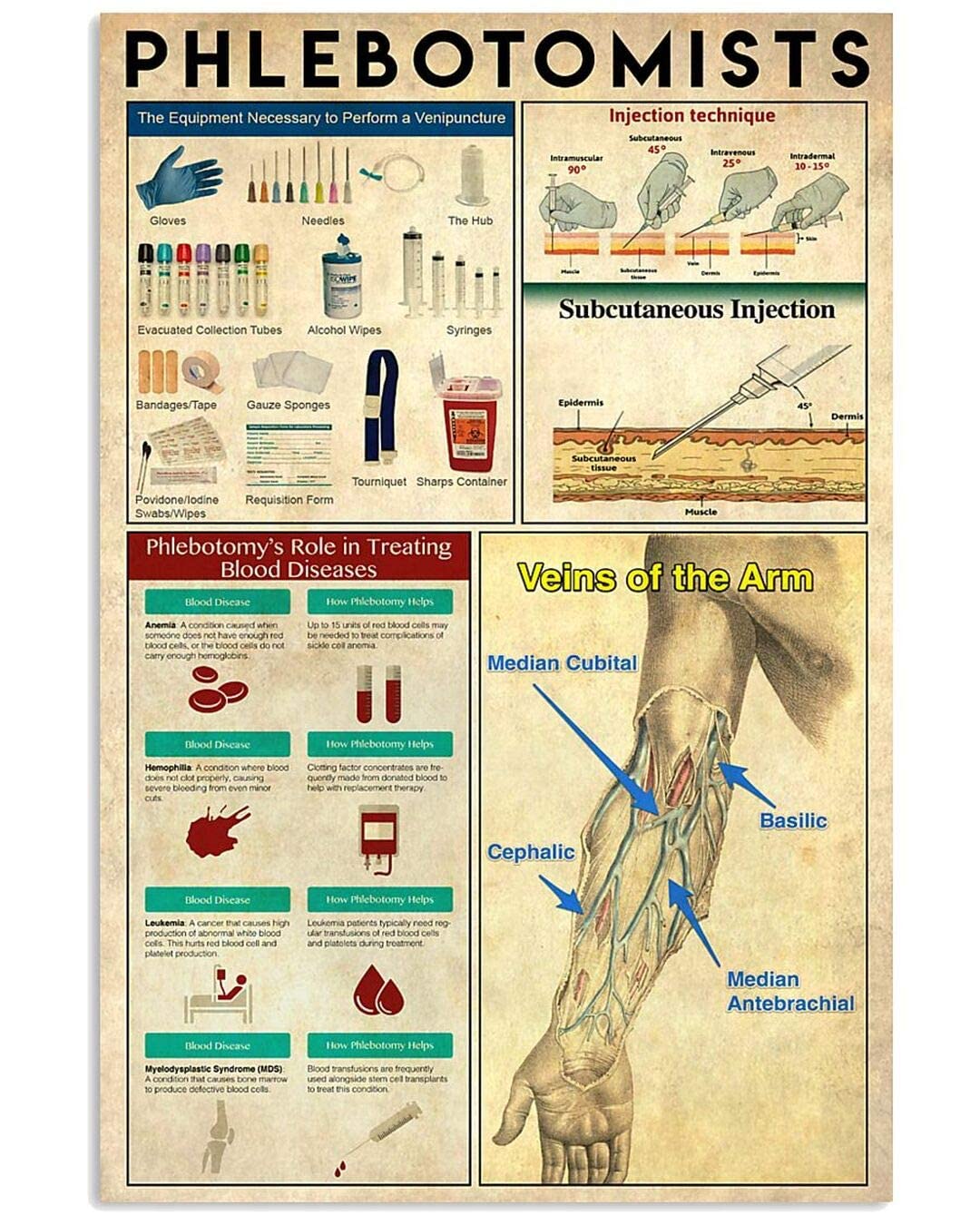 Amazon.com : 12x16 IN Phlebotomists Knowledge Metal Sign, Veins Of The ...