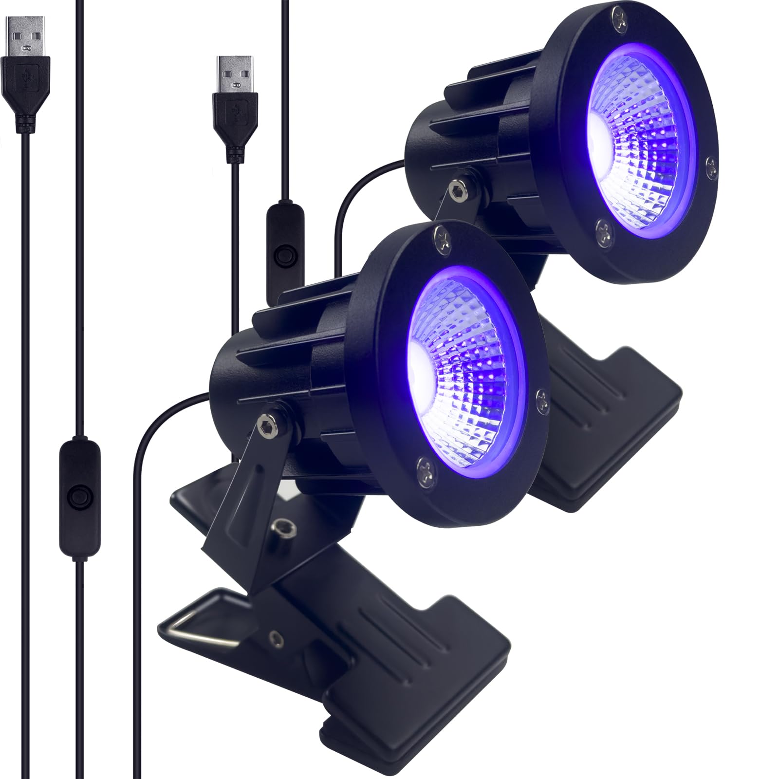 Uv Light And Fluorescent