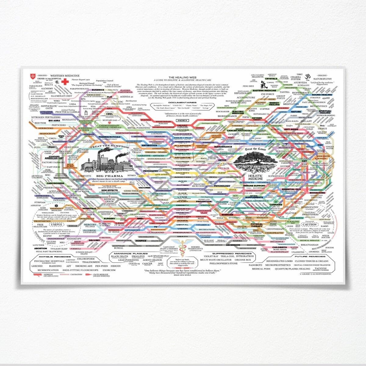 Amazon.com: The Healing Web Holistic Health Map Canvas Print - A Guide ...