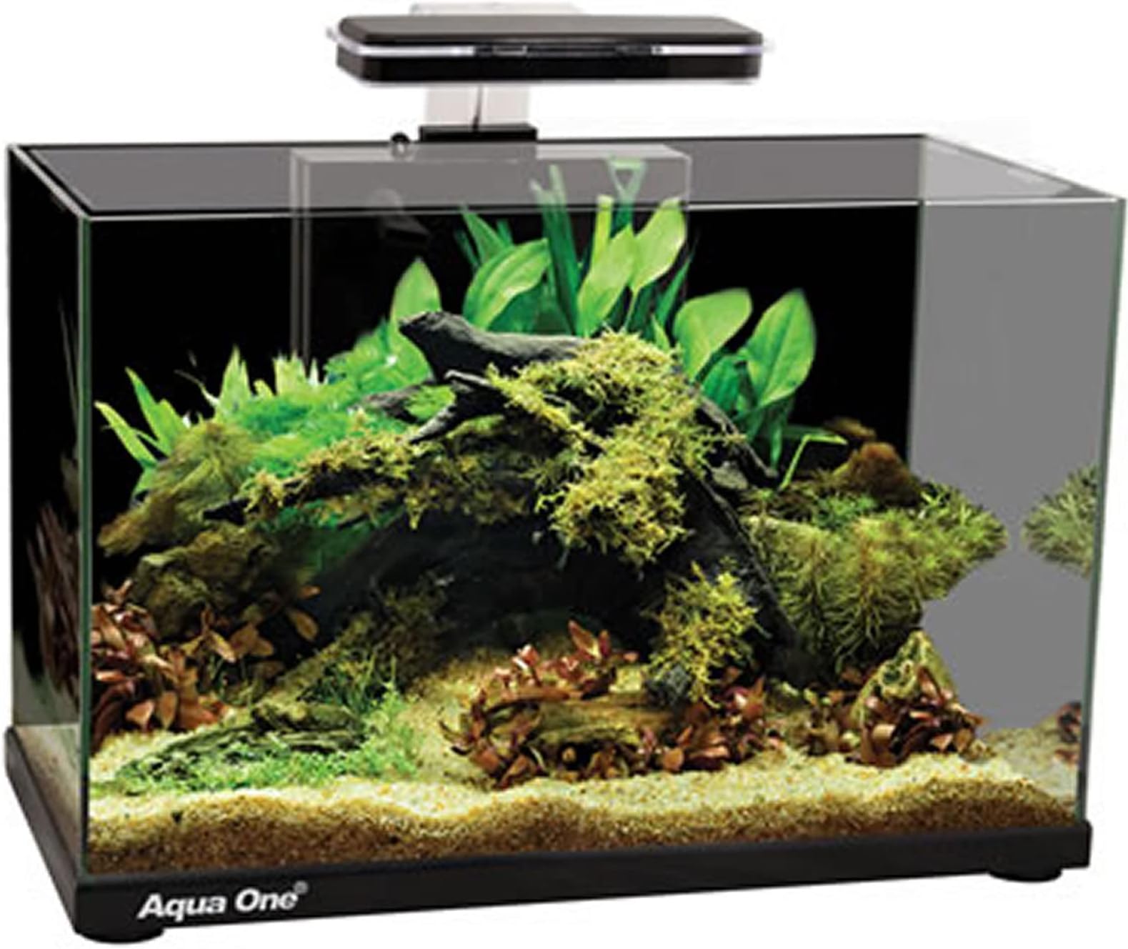 Aqua One Focus 36 Glass Aquarium 36L 50x25x36cm Black : Amazon.co.uk ...