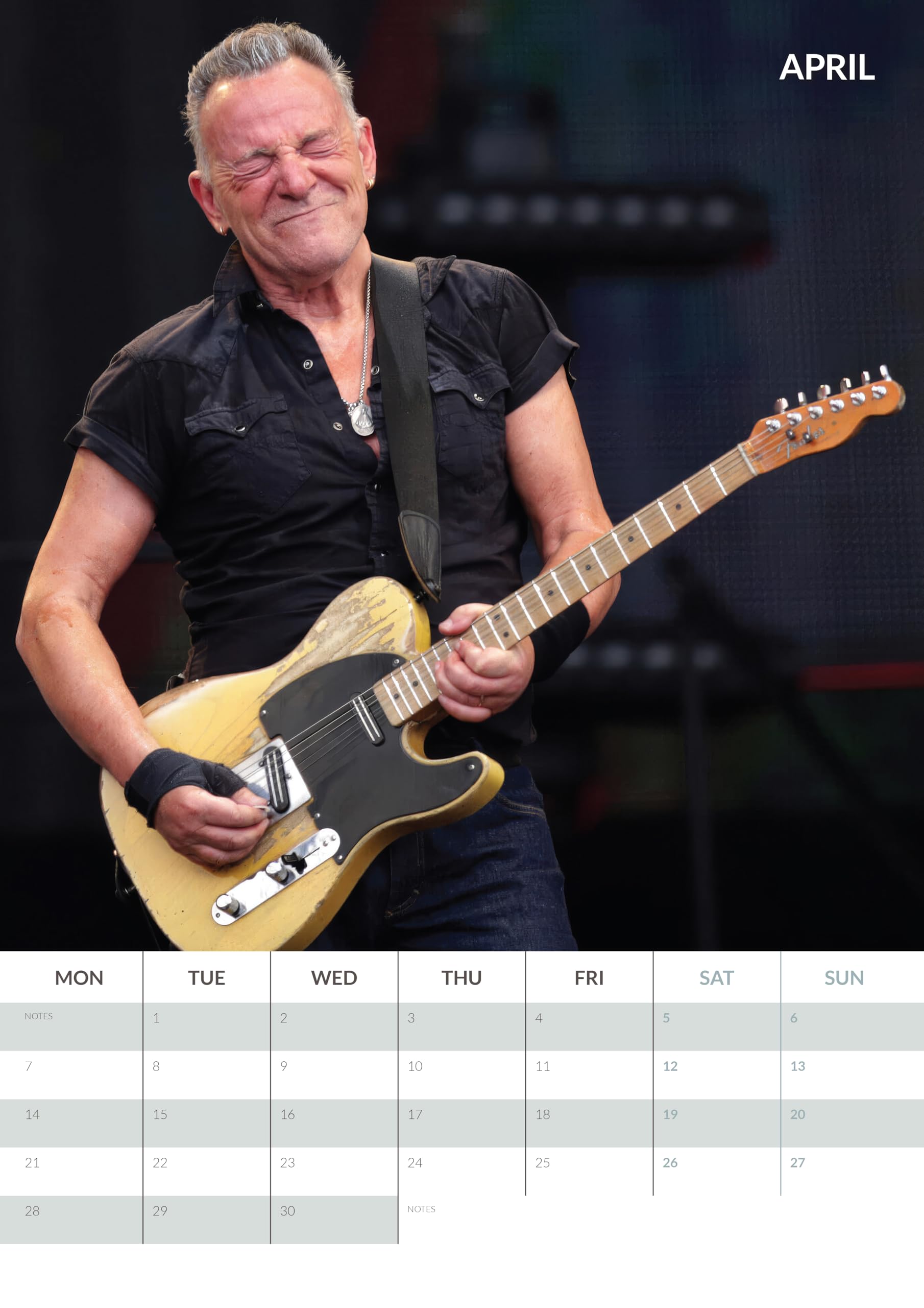 B Springsteen 2025 Calendar – BigaMart