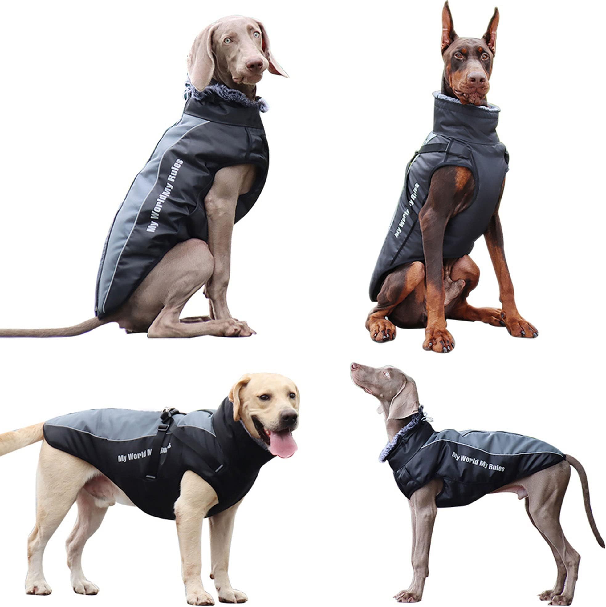 AZULDIMEN Chaquetas para Perros, Perro Chaleco de algodón, Abrigo para ...