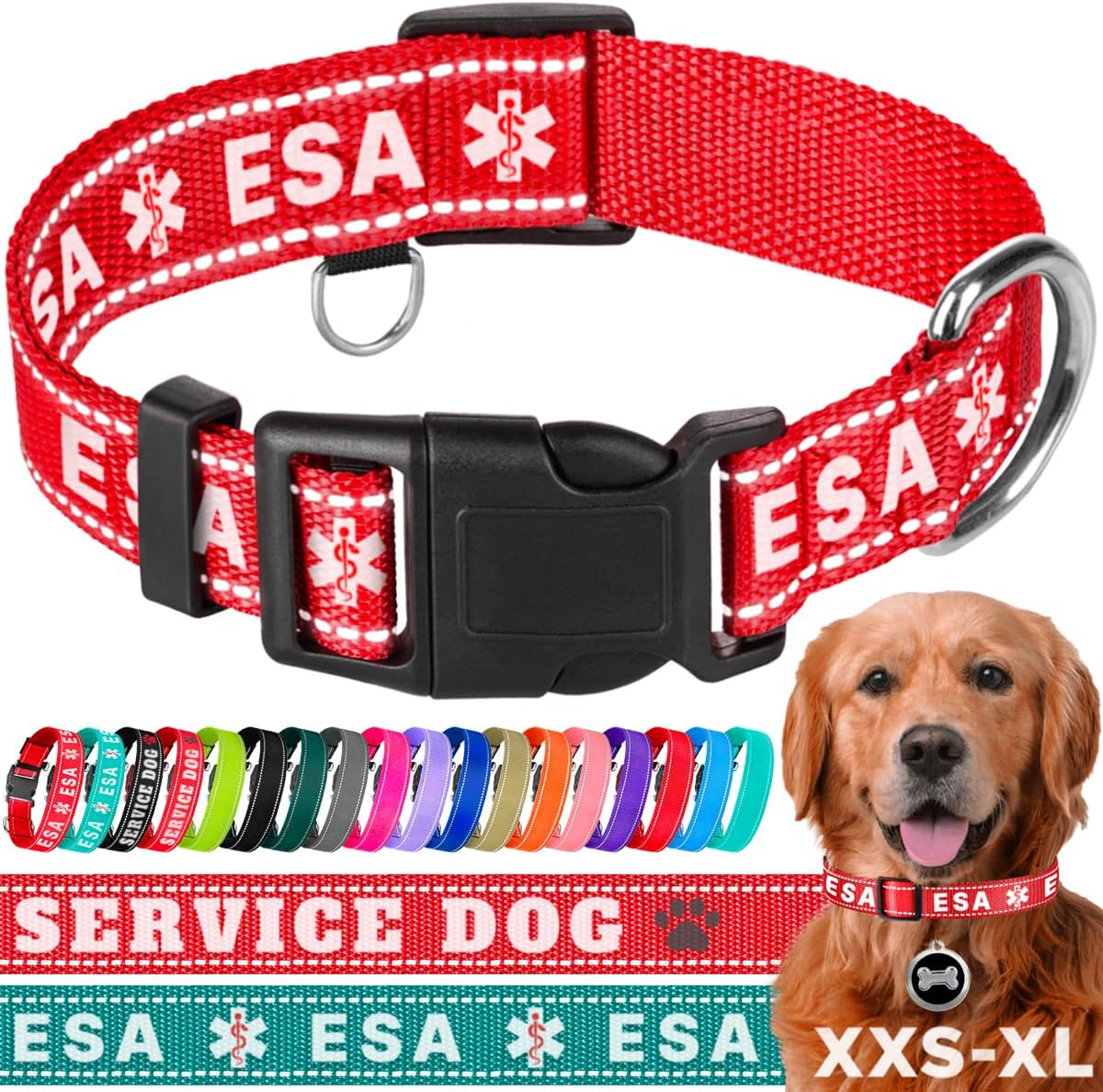 Amazon.com : TECEUM Reflective Pet Collar – Red - ESA – S – Basic Nylon ...