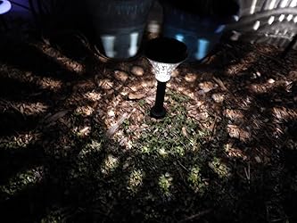 Amazon.com : Solar Outdoor Lights, Upgraded 8 Pack Solar Pathway Lights ...