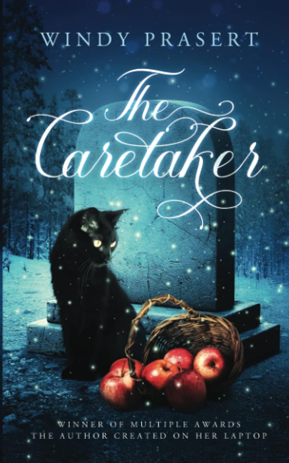 Amazon.com: The Caretaker: 9781733683203: Prasert, Windy: Books