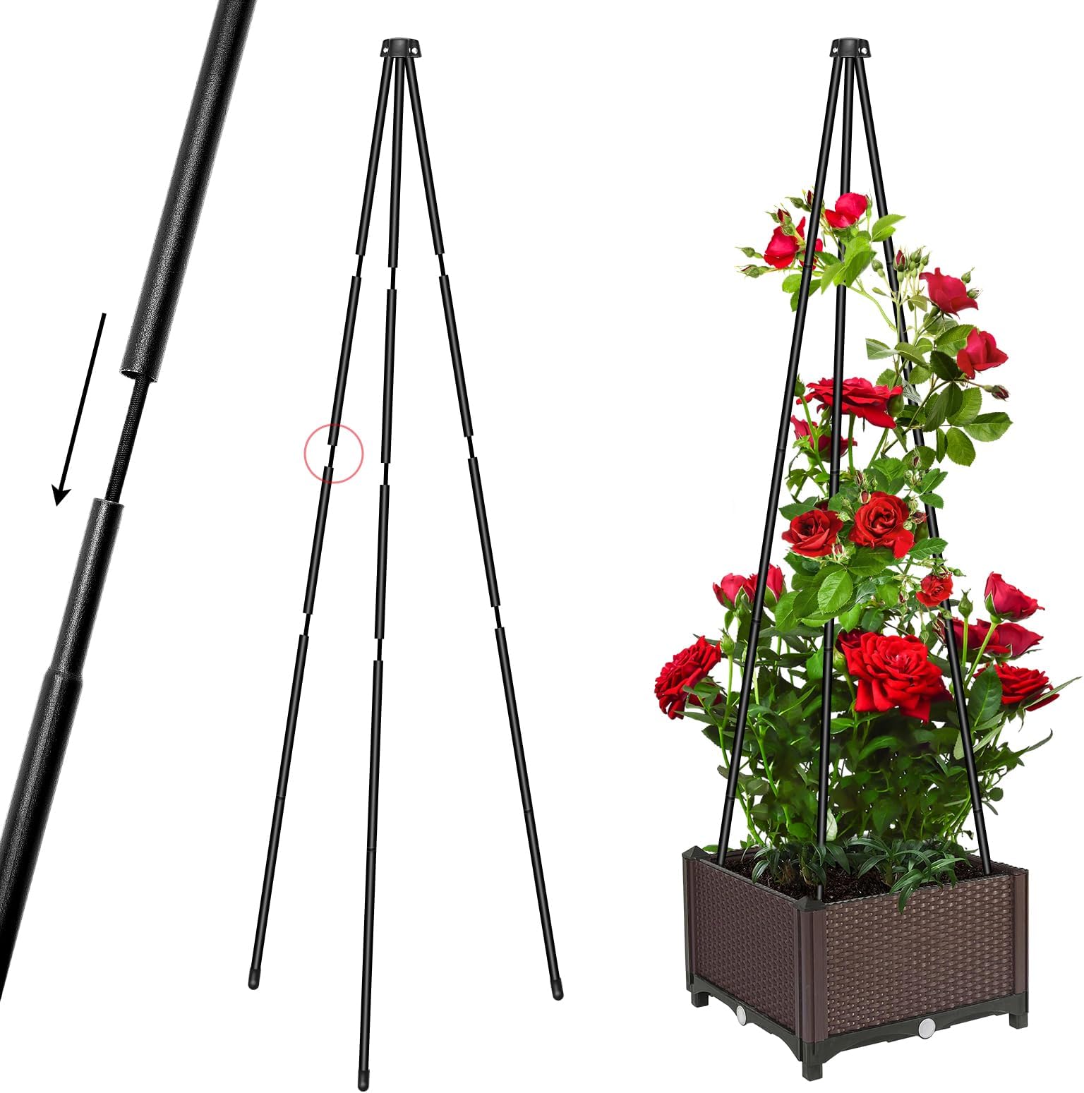 Amazon.com : HolyMaji Garden Obelisk Trellis for Climbing Plants, Fast ...