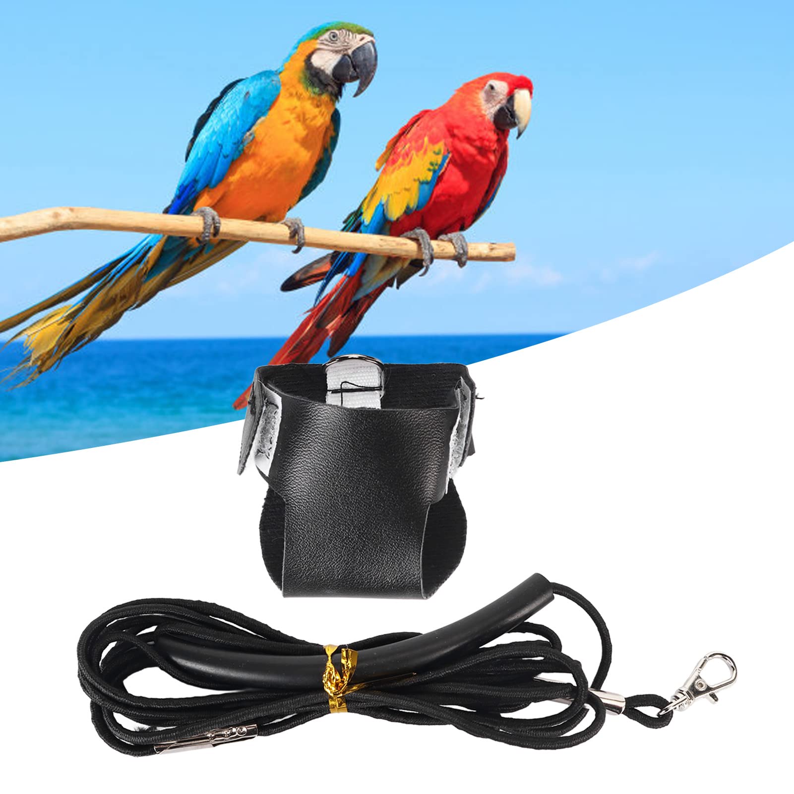 Pet Parrot Outdoor Gear Adjustable Parrot Harness & Leash - Bird Flight ...
