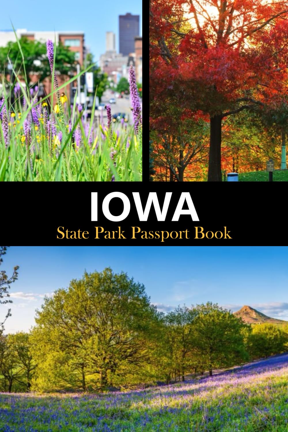 Iowa State Park Passport Book: Explore 110 Natural Wonders Must ...