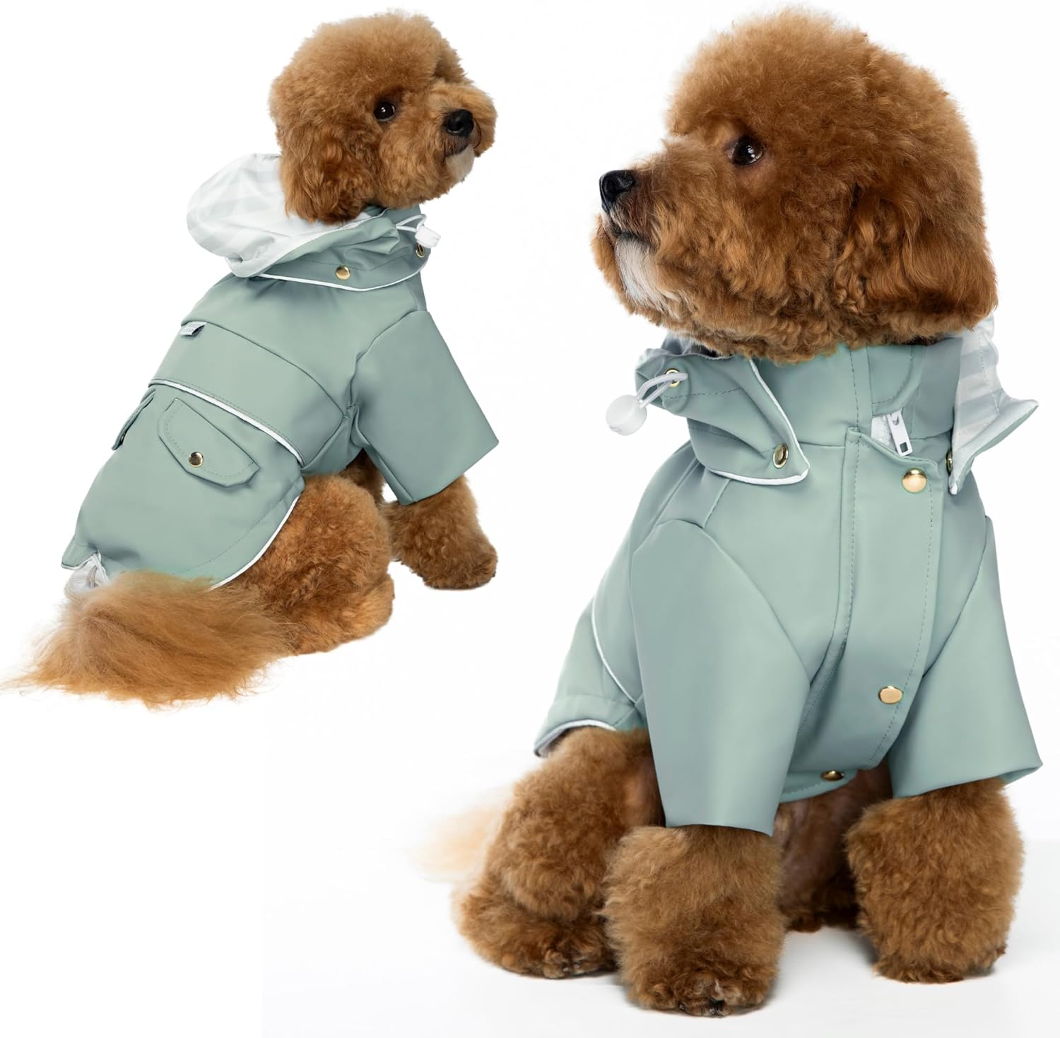 Amazon.com : Waffles & Crunch, Dog Rain Jacket, Puppy Raincoat ...
