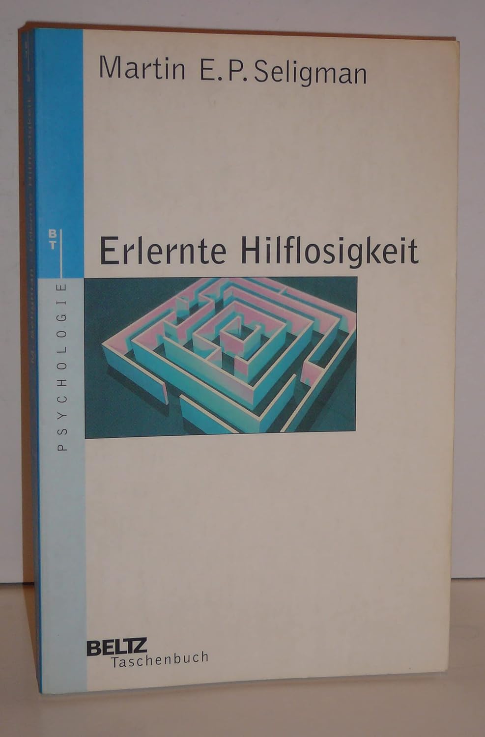 Erlernte Hilflosigkeit: Anhang: "Neue Konzepte und Anwendungen" von ...