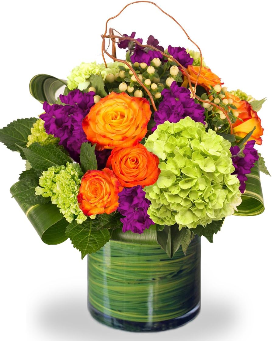 Amazon.com : Allen's Flowers & Plants - Color Pop -Deluxe - Fresh and ...