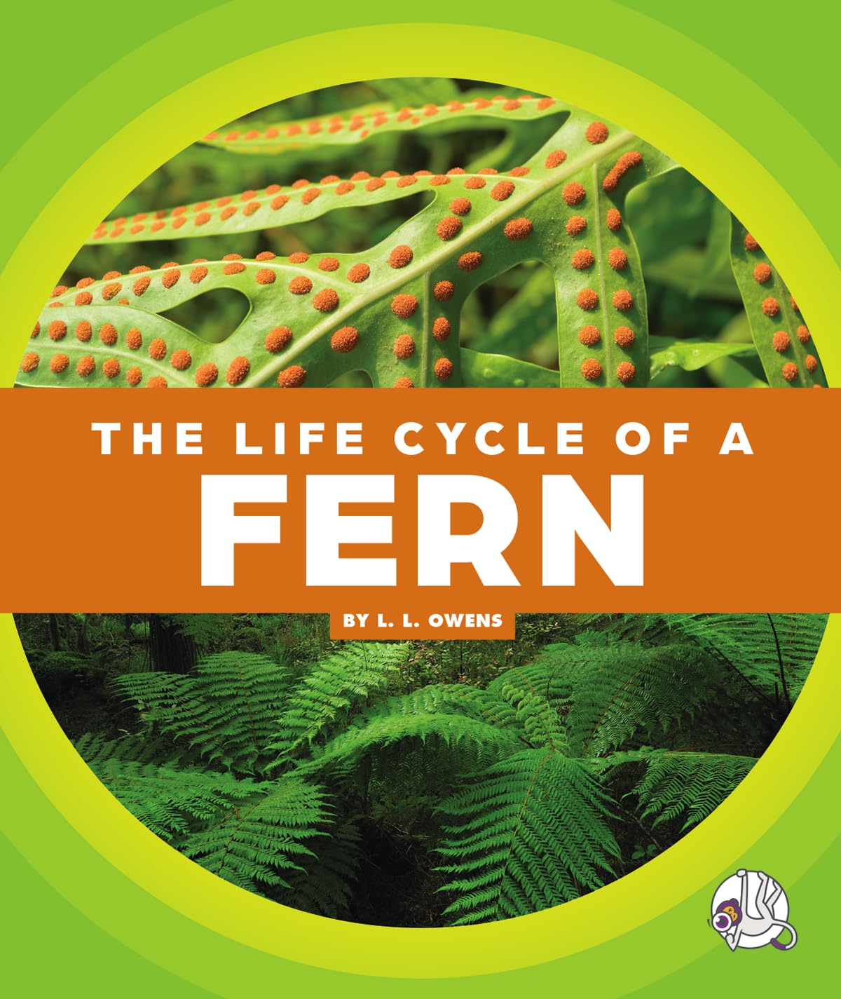 The Life Cycle of a Fern (Life Cycles): Owens, L. L.: 9781503858718 ...