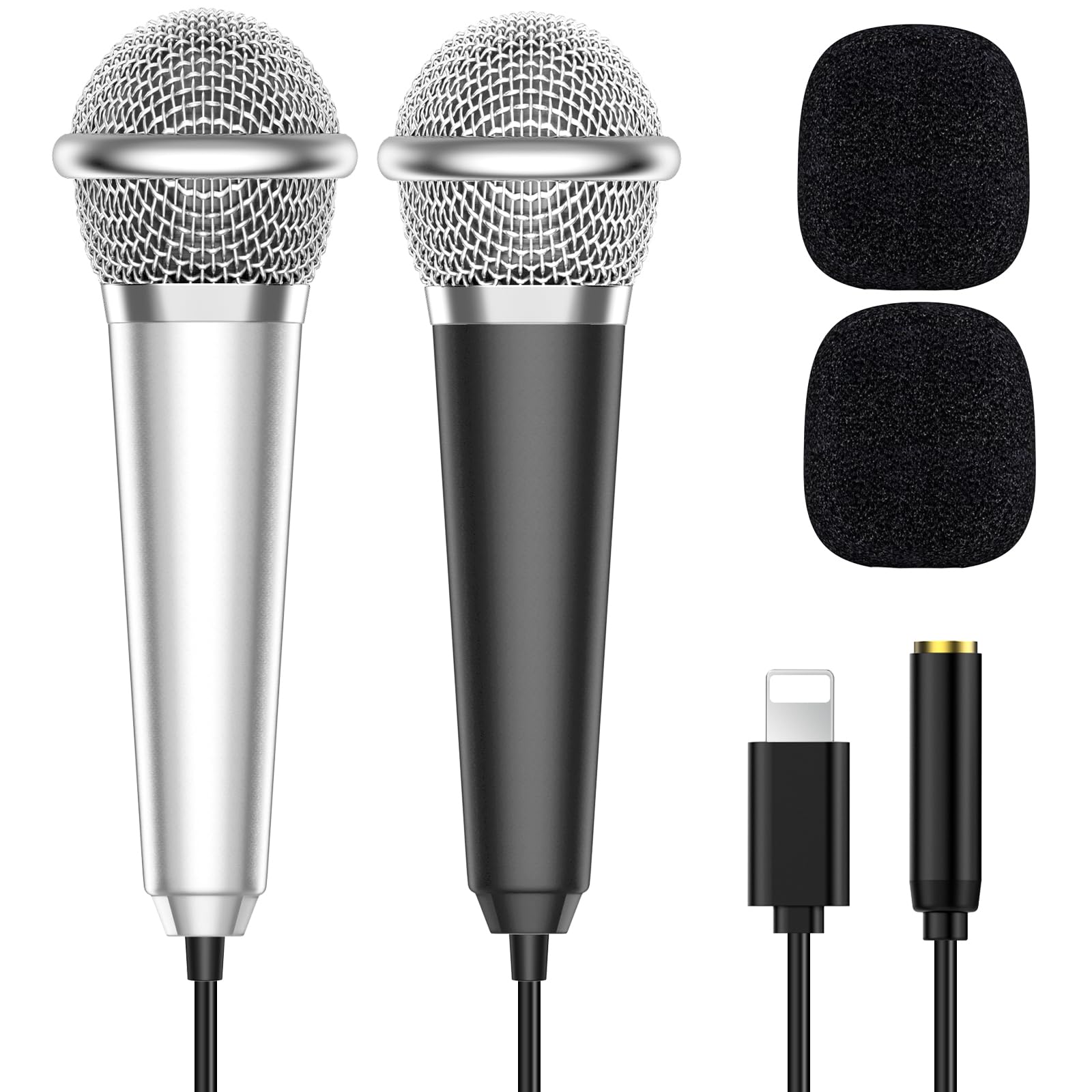 Miniature Microphone