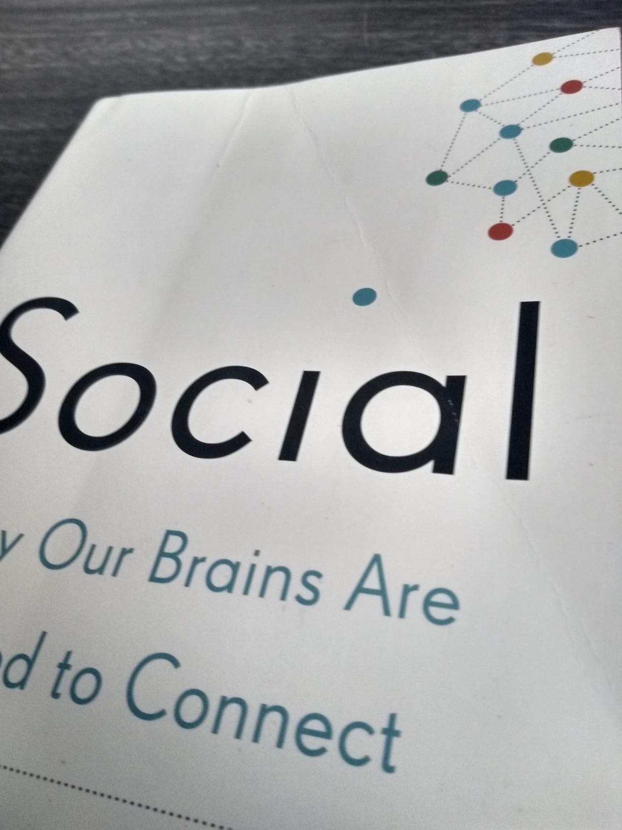 Social: Why Our Brains Are Wired to Connect | Amazon.com.br