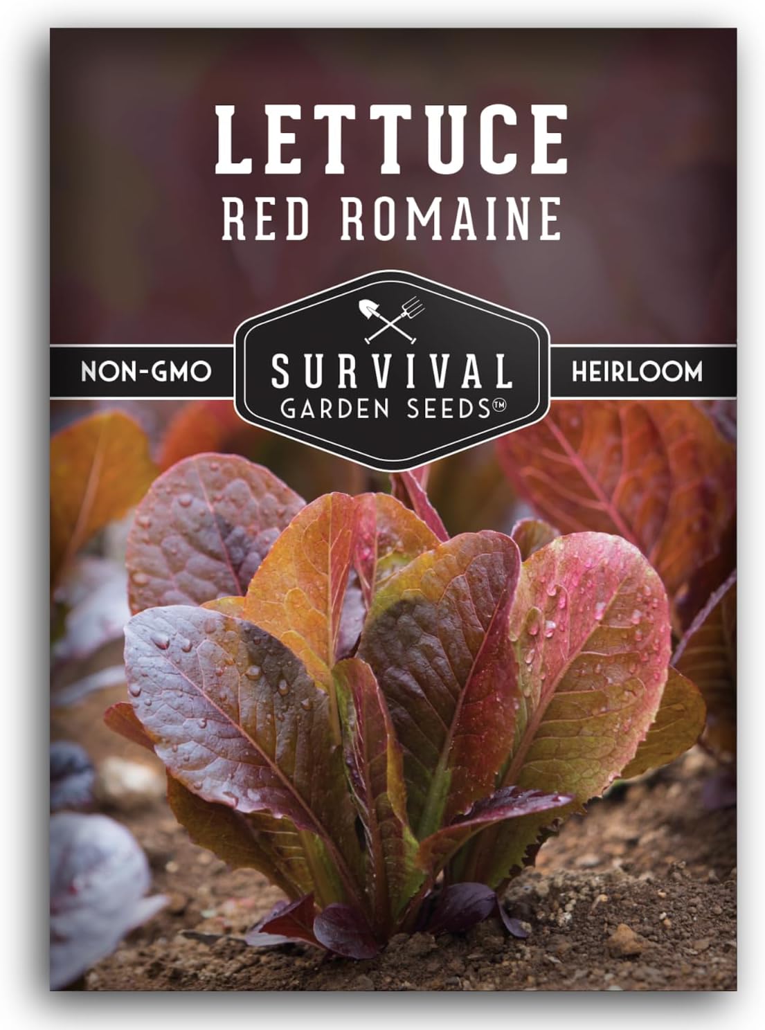 Amazon.com : Lettuce Seeds for Planting | Red Romaine Variety (2.5g ...