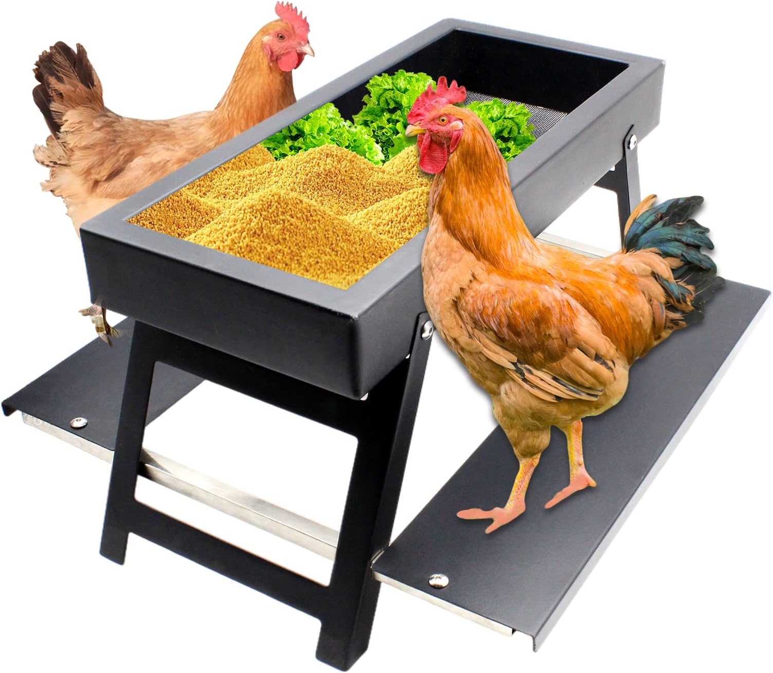 Amazon.com: Lalafancy Chicken Picnic Table, Large DIY Chicken Feeder ...