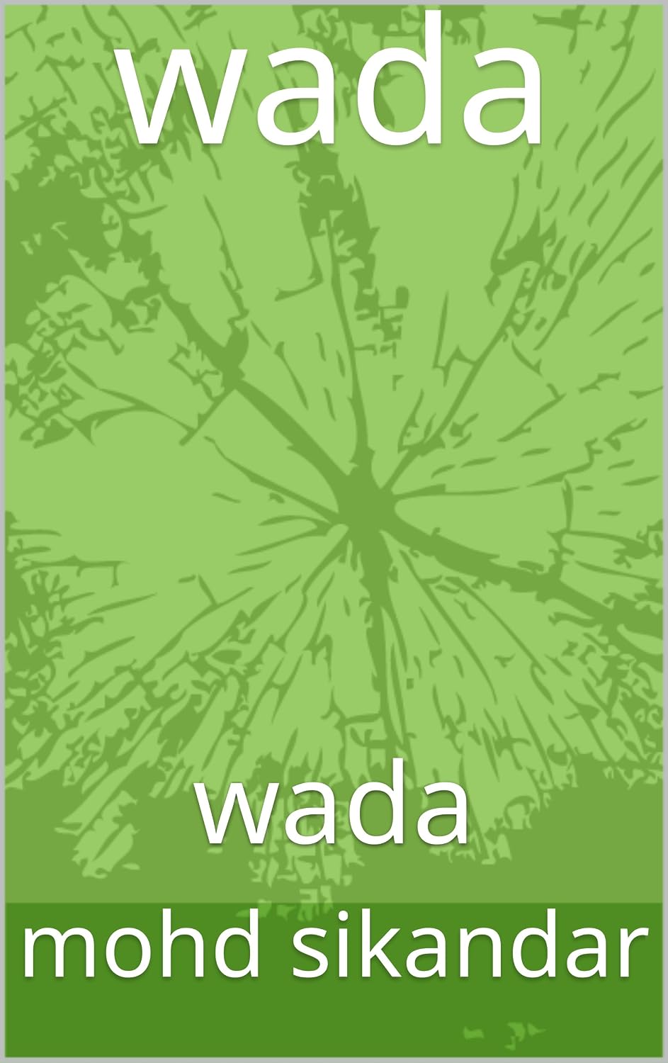 Amazon.com: wada: wada (Hindi Edition) eBook : sikandar, mohd: Kindle Store
