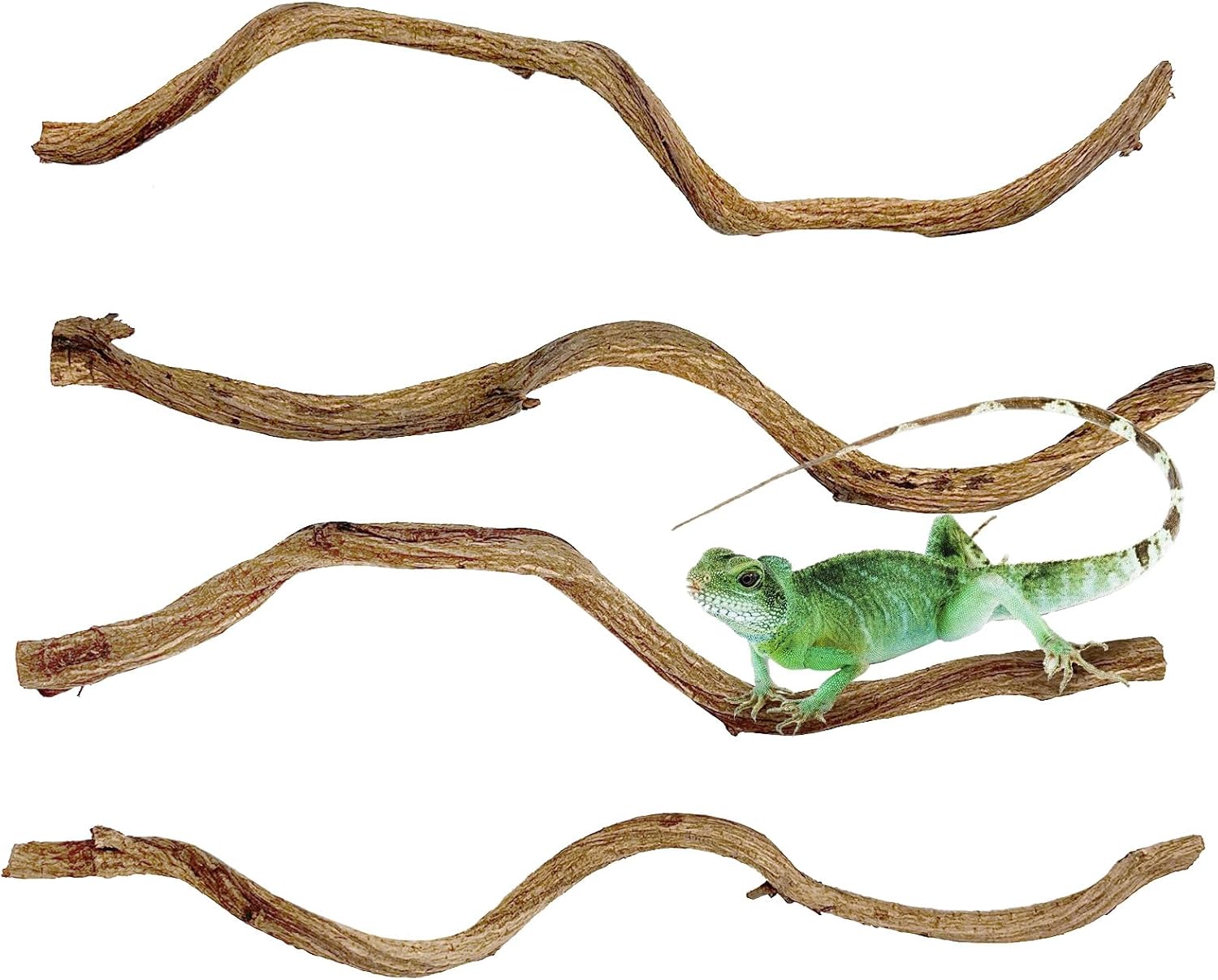 Amazon.com : Apatal Reptile Branch Decor Snake Climbing Wood Branches ...