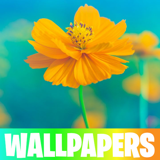 Flowers Wallpapers - App on the Amazon Appstore