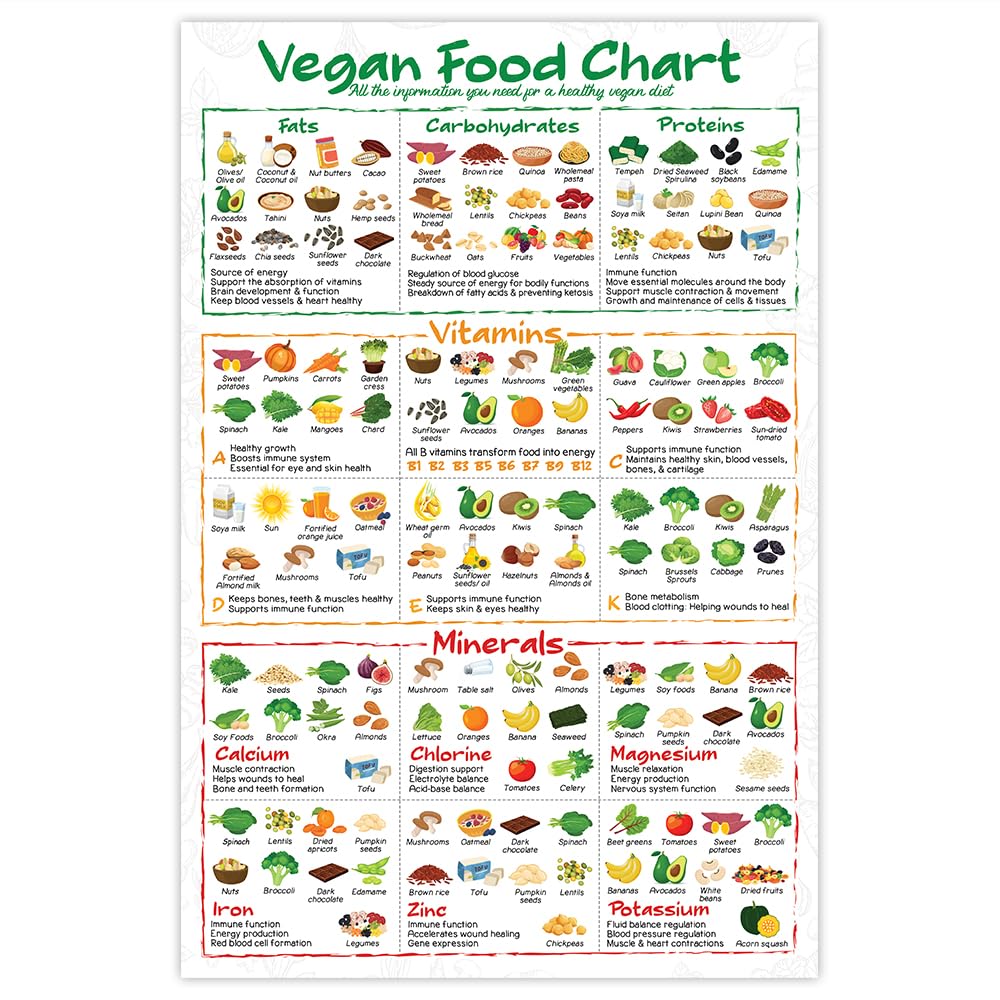Amazon.com: 5M BOX Vegan Healthy Food Poster, 12x18 Inches Nutrition ...
