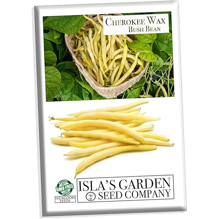 Amazon.com : Cherokee Wax Bush Bean Seeds for Planting, 50+ Heirloom ...