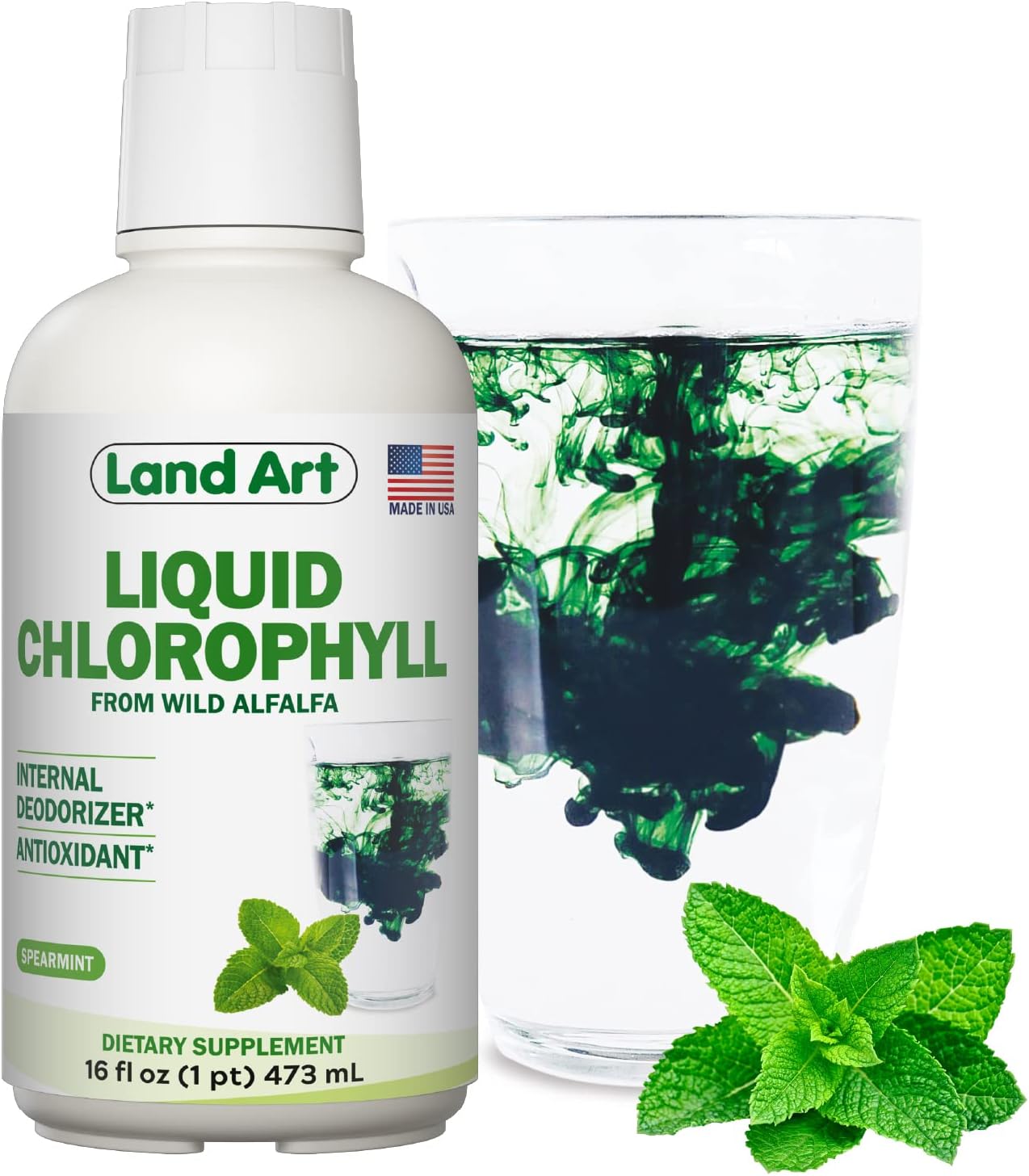 Amazon.com: World Organics Liquid Chlorophyll Liquid with Spearmint, 16 ...