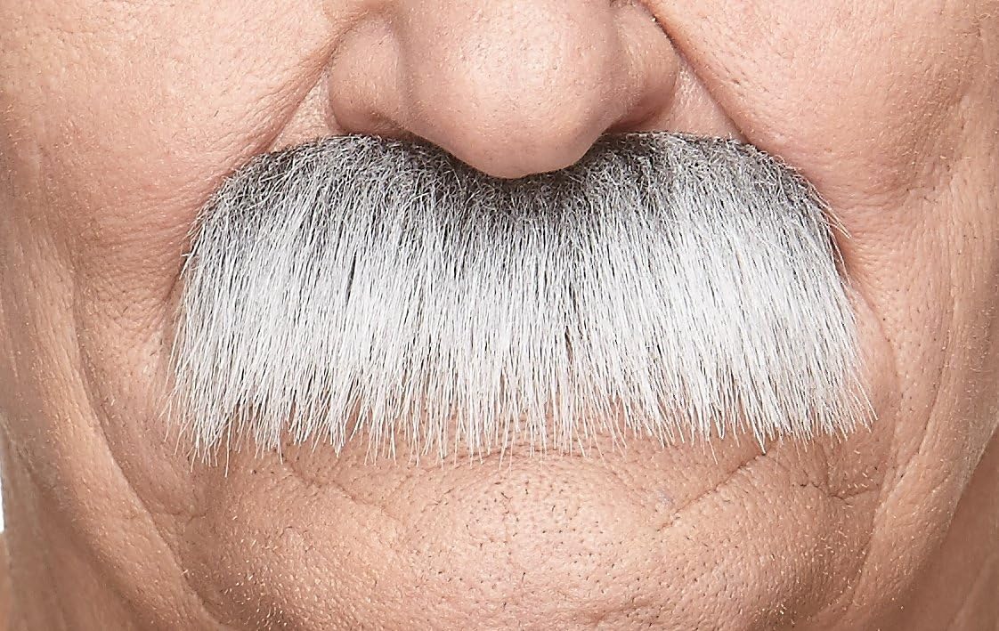 Amazon.com: Mustaches Self Adhesive Fake Mustache, Novelty, Grandpa's ...