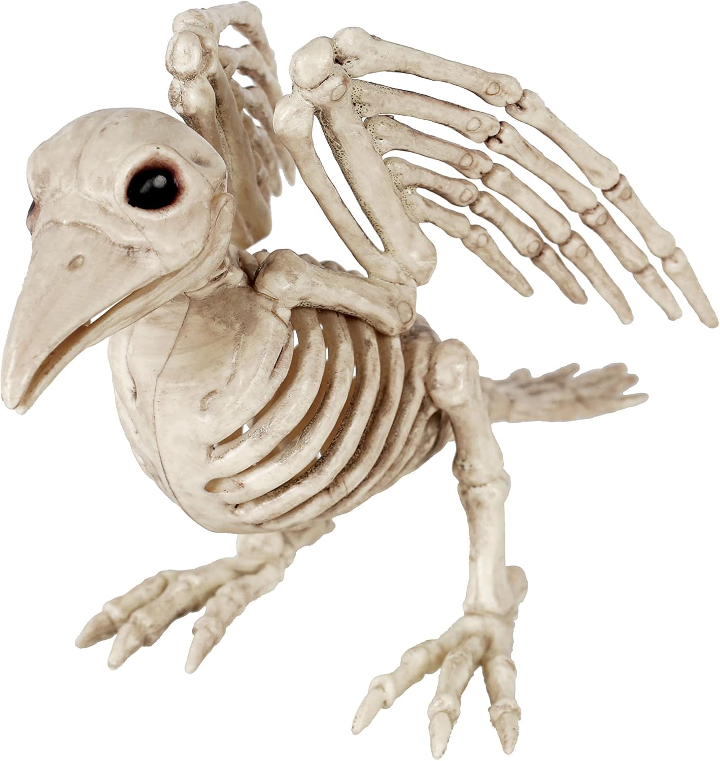 Amazon.com: Crazy Bonez Skeleton Bird Halloween Decoration, 5.5 Inch ...