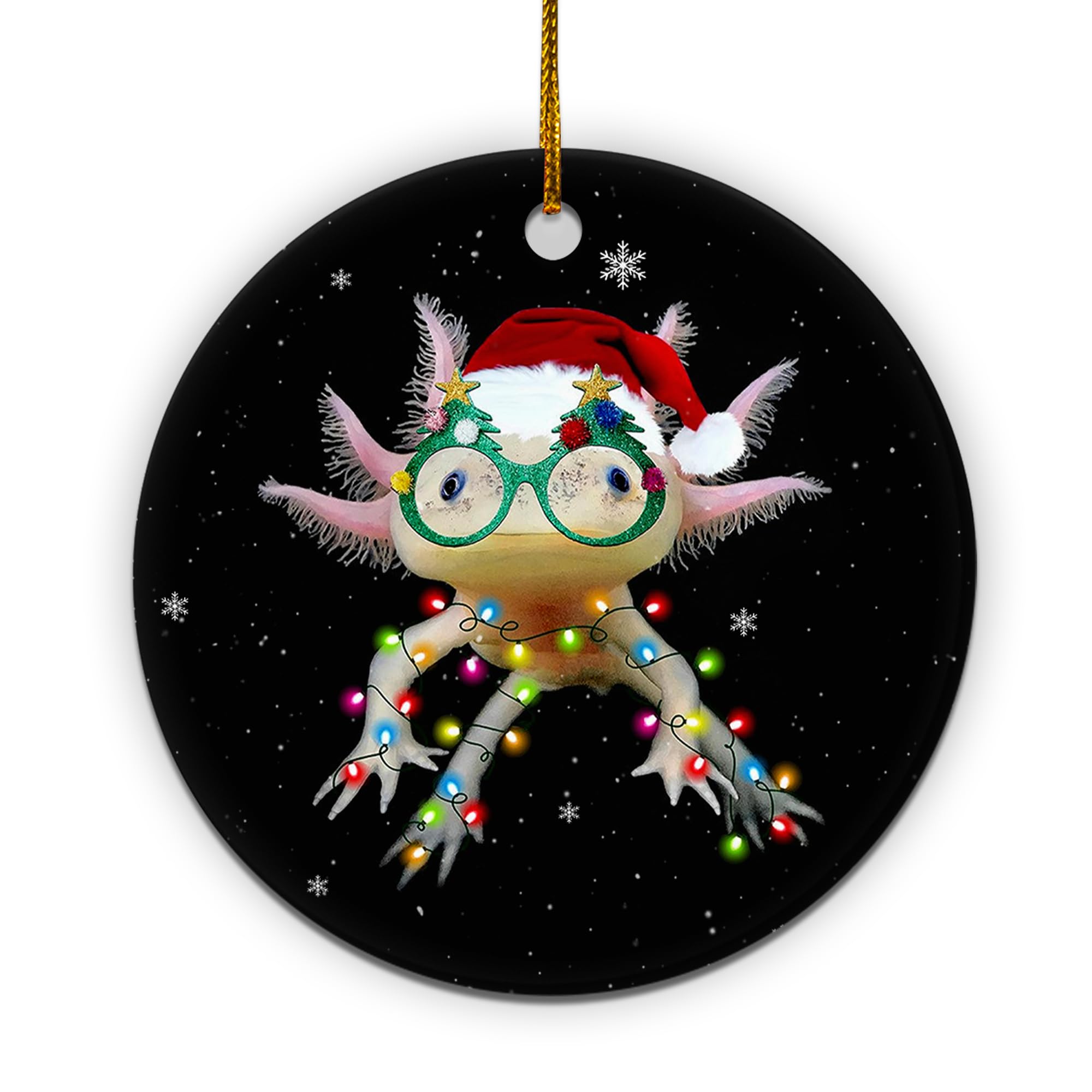 Amazon.com: Hyturtle Christmas Ornament Gifts for Axolotl Lover ...