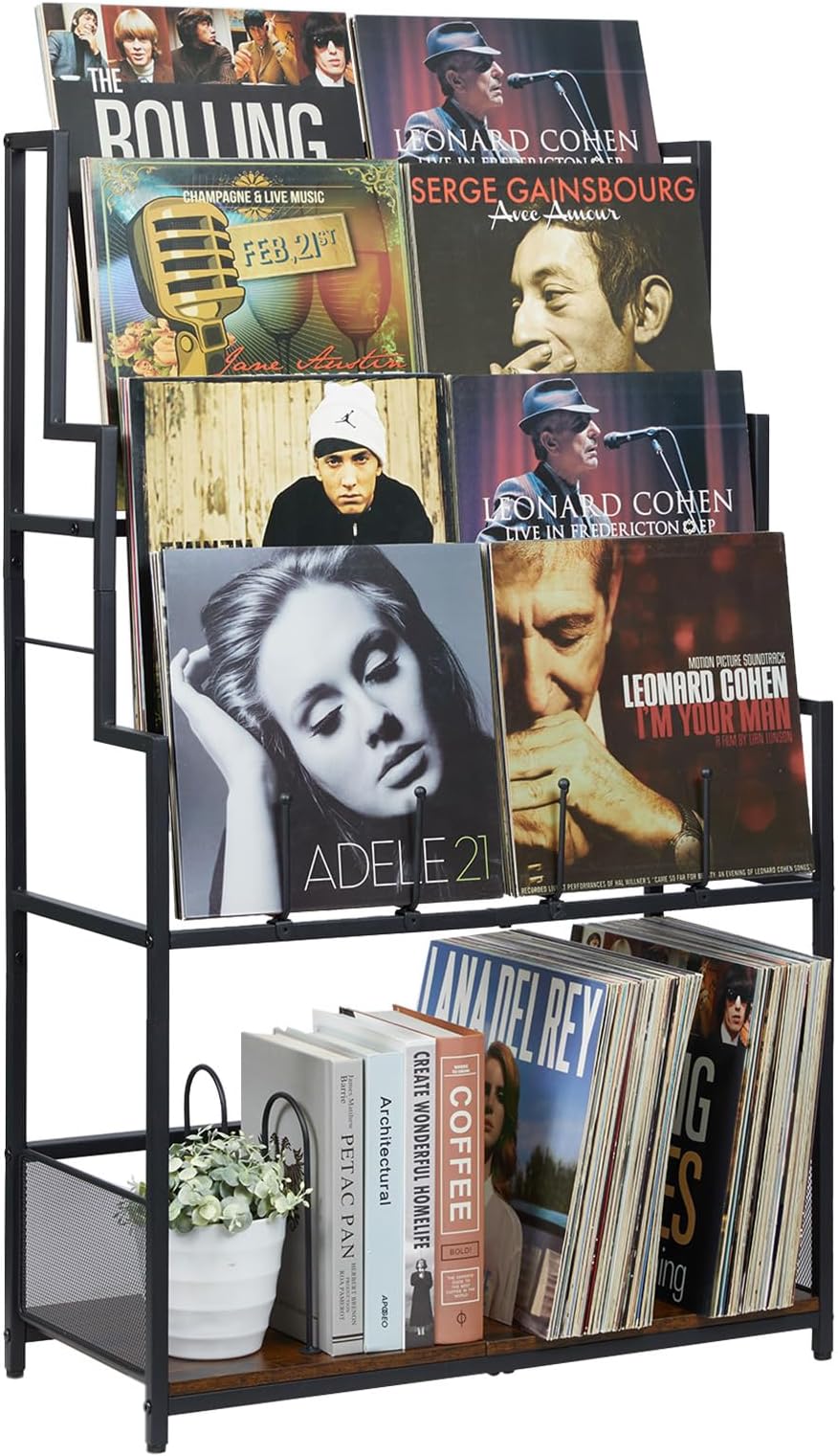 Amazon.com: 2 Tiers Record Holder, Vinyl Record Storage Rack Shelf ...