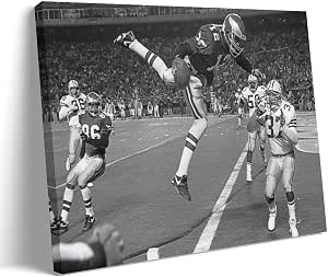 Amazon.com: EyewEb Randall Cunningham Amazing Touchdown Poster Art ...