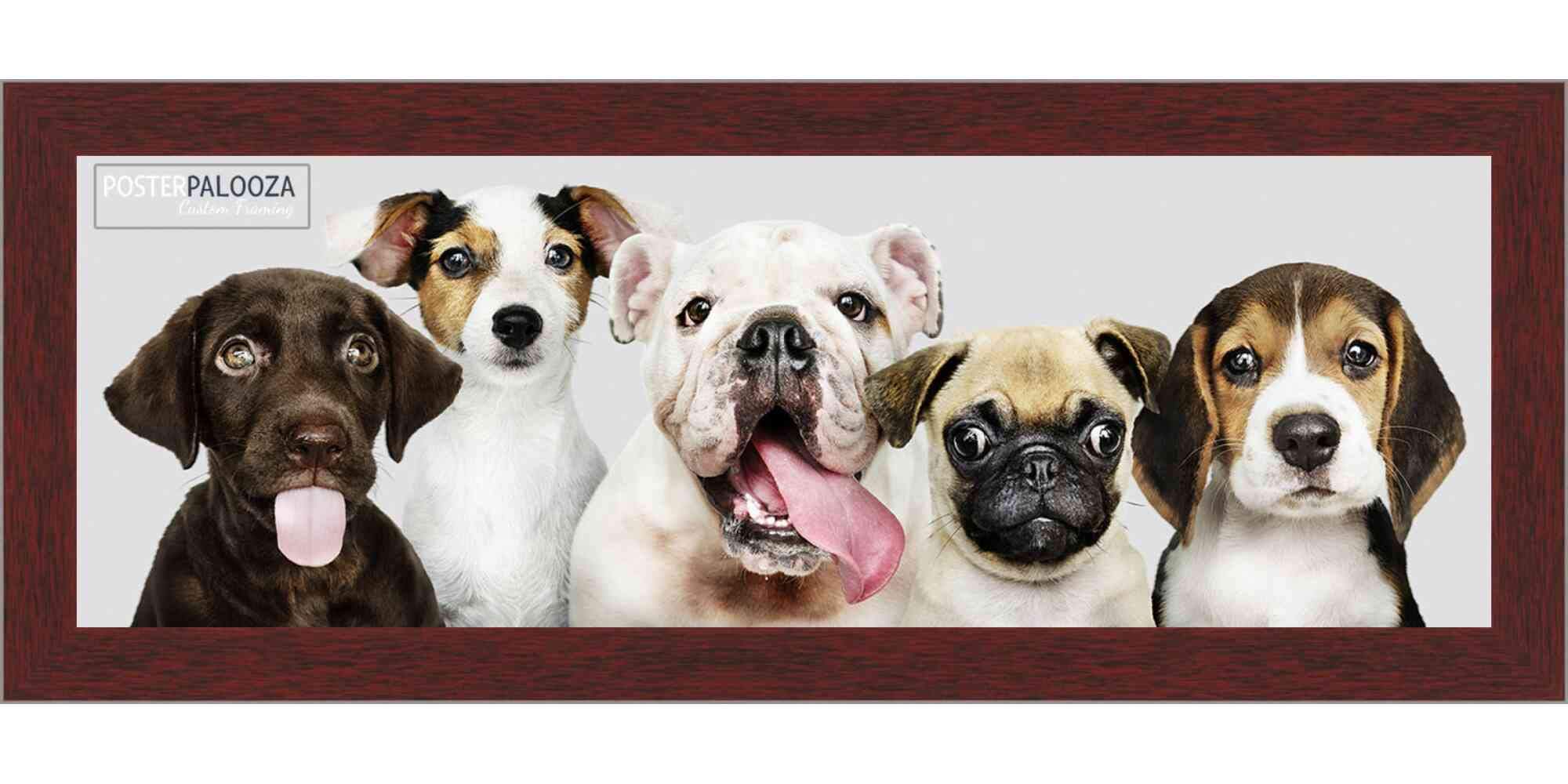 Amazon.com - 12x48 Frame Brown Mahogany Finish Solid Pine Wood Frame ...