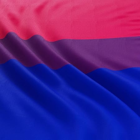 Amazon.com : DecoVibe Bi Flag 3x5 Ft for Indoor Wall Decor - Vibrant ...