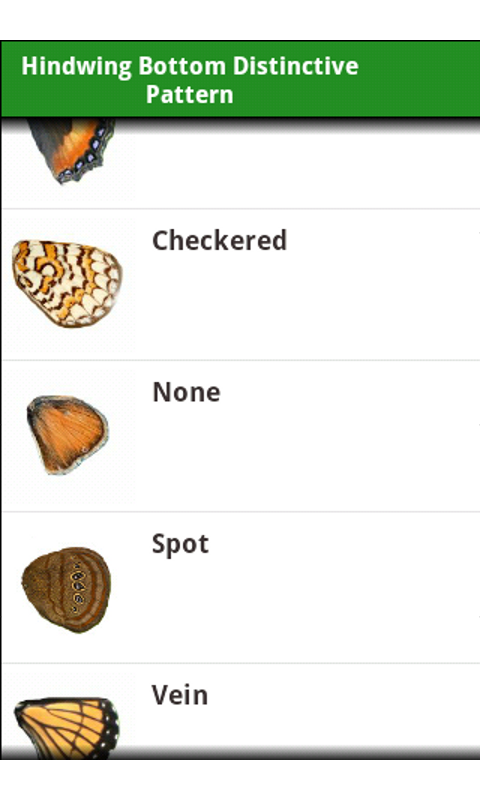 North American Butterflies - App on Amazon Appstore