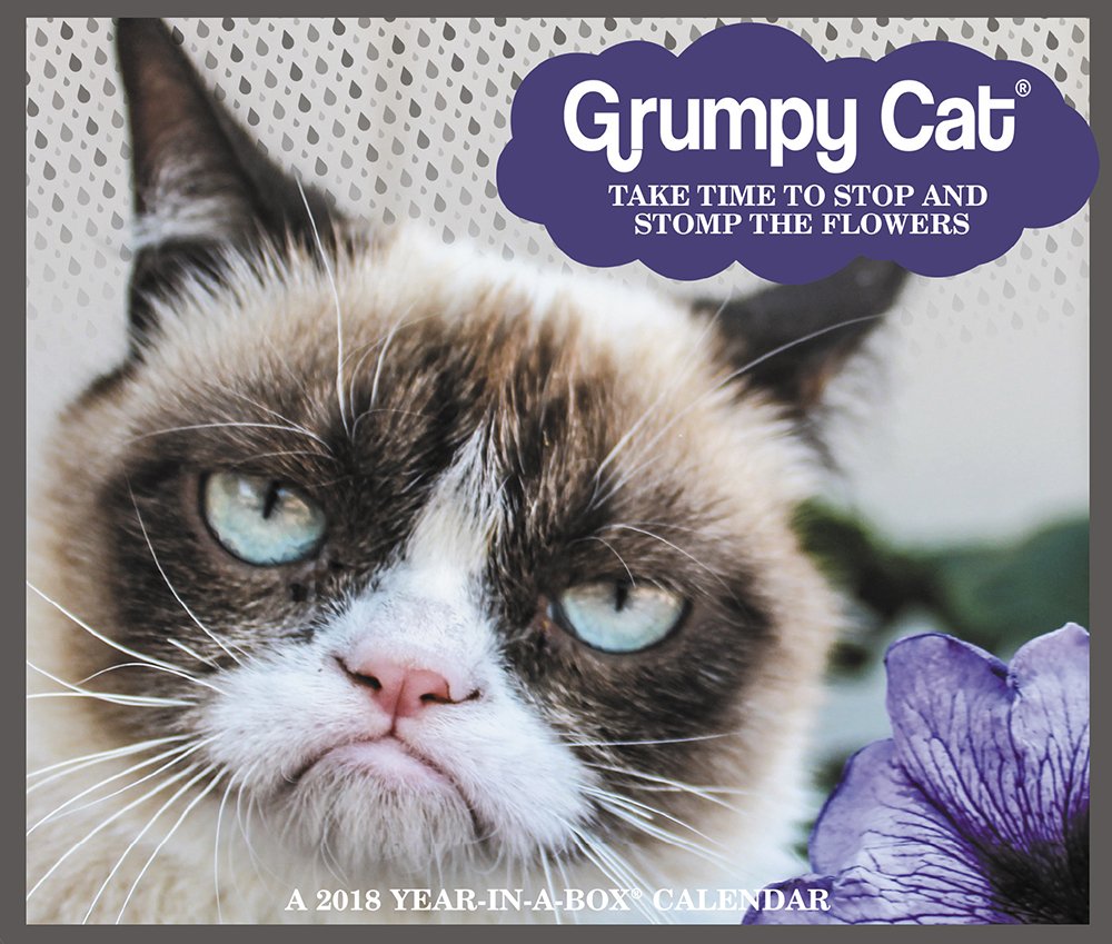 Grumpy Cat 2018 Calendar: Year-In-A-Box: 0038576635289: Amazon.com: Books