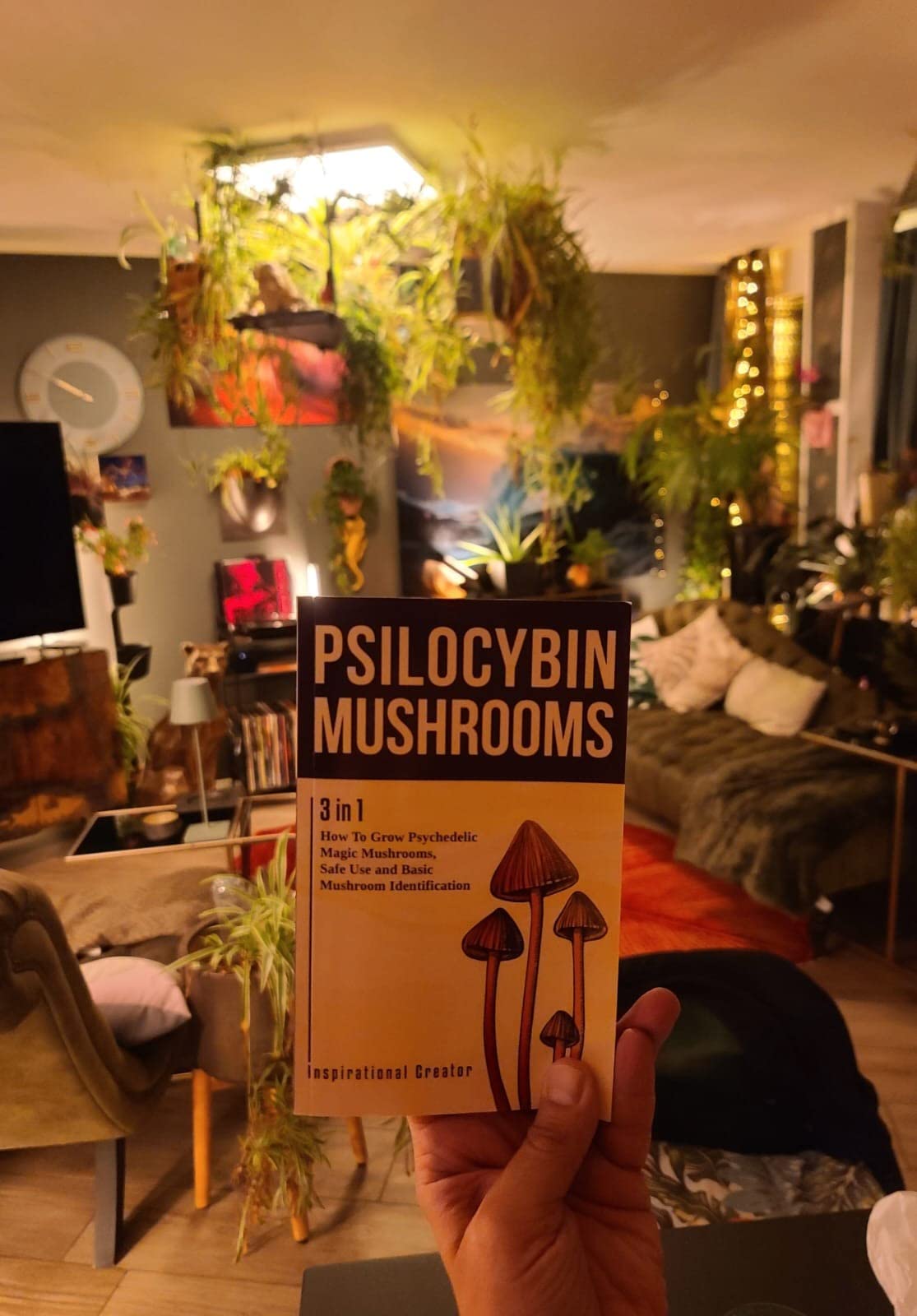 Psilocybin Mushrooms: 3 in 1: How to Grow Psychedelic Magic Mushrooms, Safe Use and Basic ...