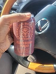 Amazon.com : Rishi Tea Variety Sparkling Botanicals Sparkling Water - Organic, Unsweetened, Zero ...