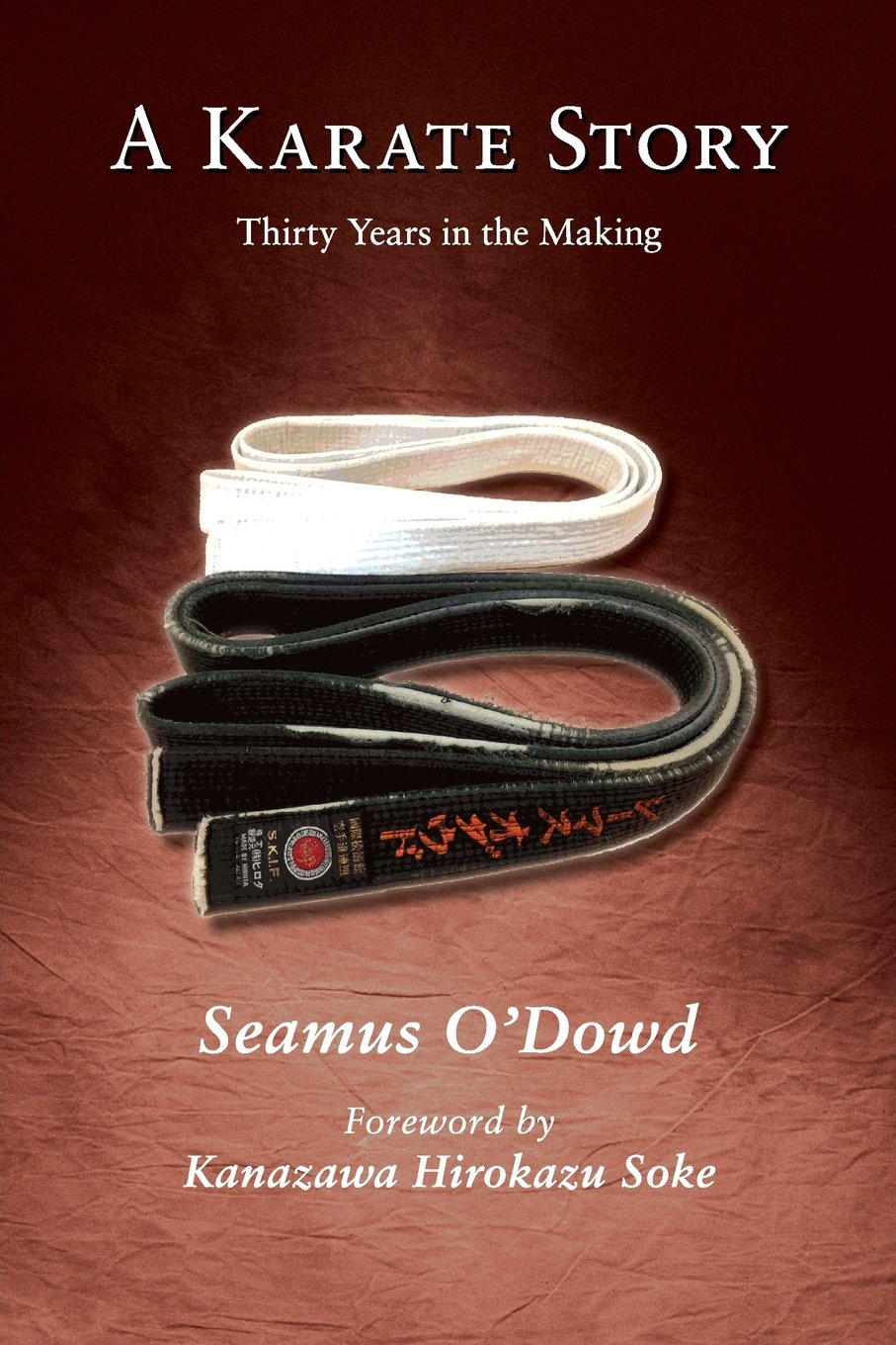 A Karate Story: Thirty Years in the Making: O'Dowd, Seamus, Schmidt ...